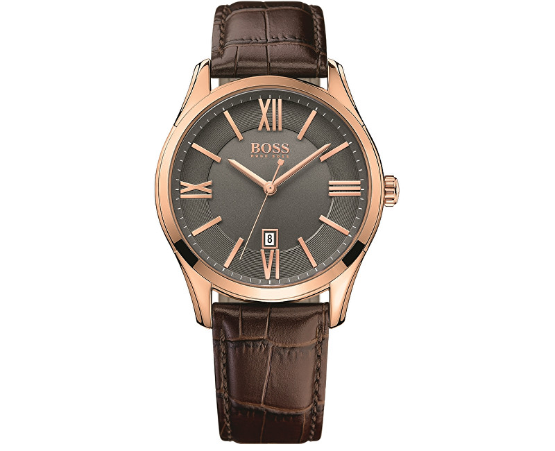 Hugo Boss Black Ambassador 1513387